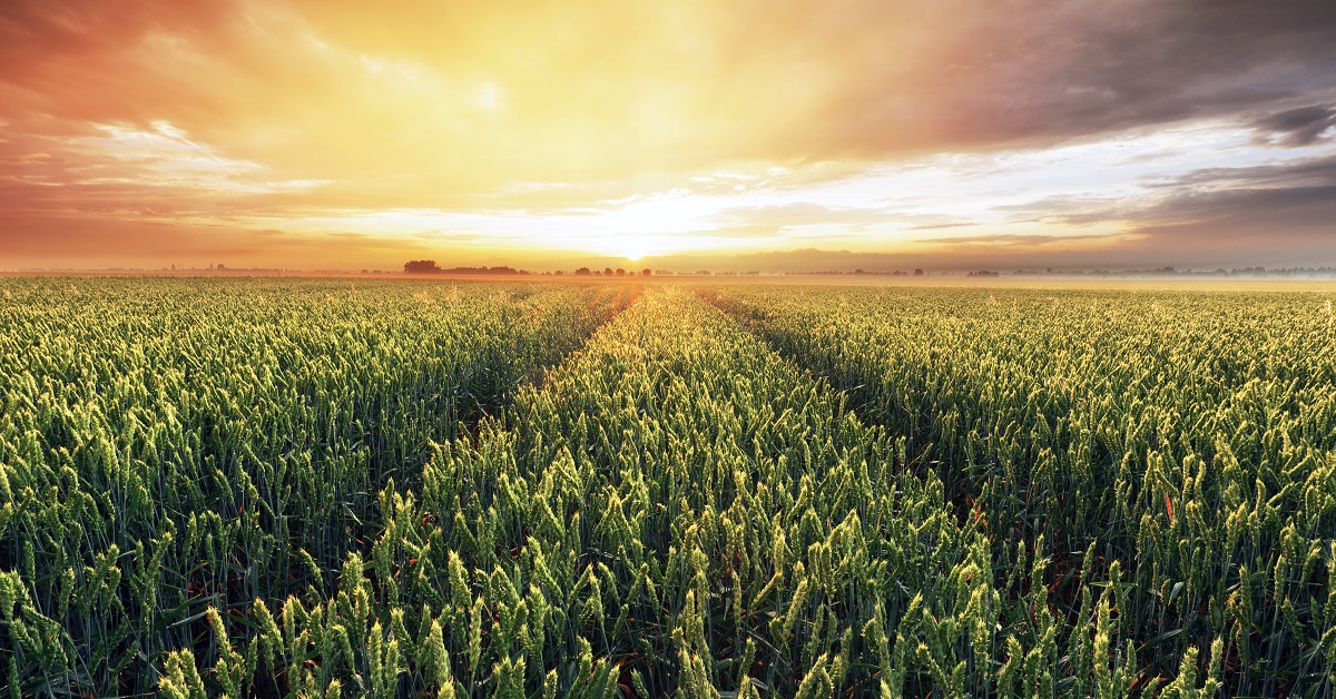 Farm2Fork: ¿Qué sector agroalimentario queremos? - Blog Aepla