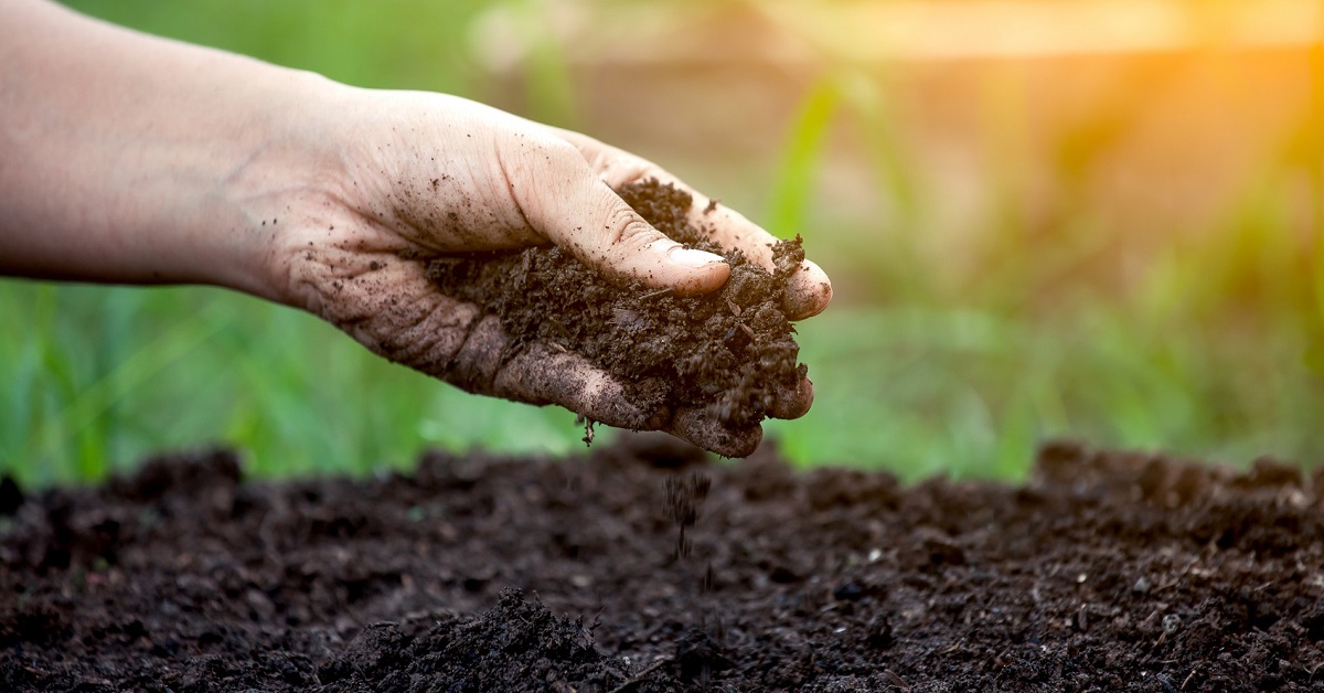 Consejos útiles para favorecer la salud de tu suelo agrícola - Blog Aepla Consejos útiles para favorecer la salud de tu suelo agrícola - Blog Aepla